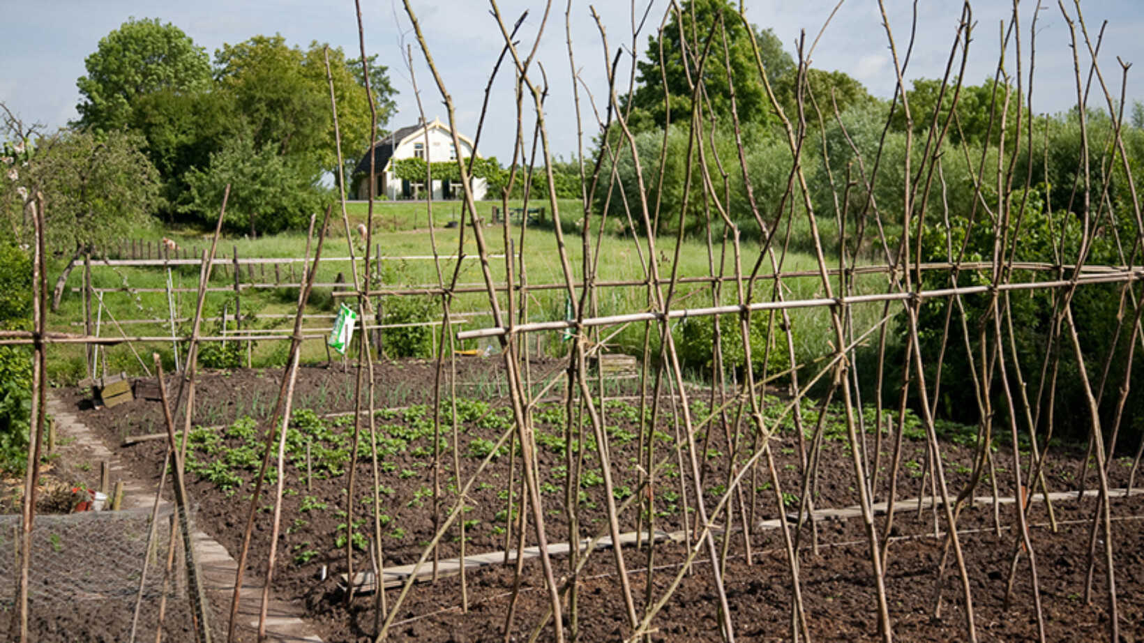 Stel een teeltplan op voor je moestuin