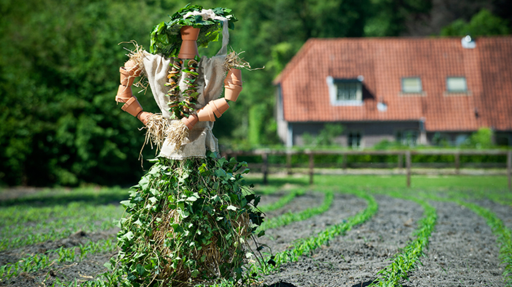 Vrouwelijke vogelverschrikker maken? Dat doe je zó