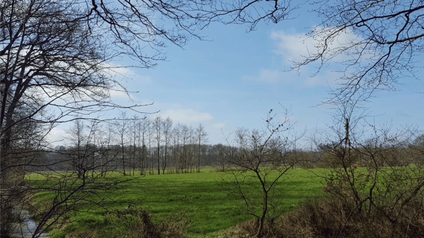Wandeling door het coulisselandschap in Friesland