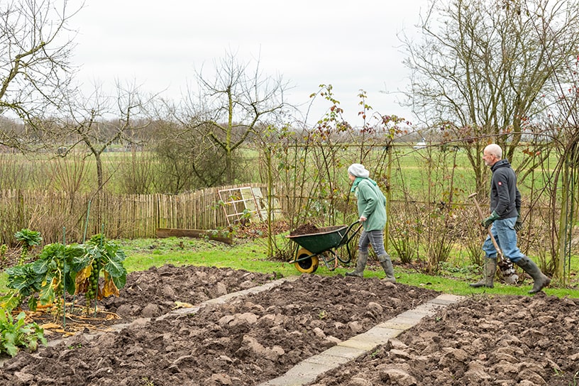 Maak je moestuin klaar voor het voorjaar