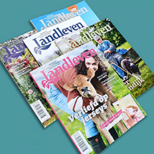 De aantasting bij fruitbomen