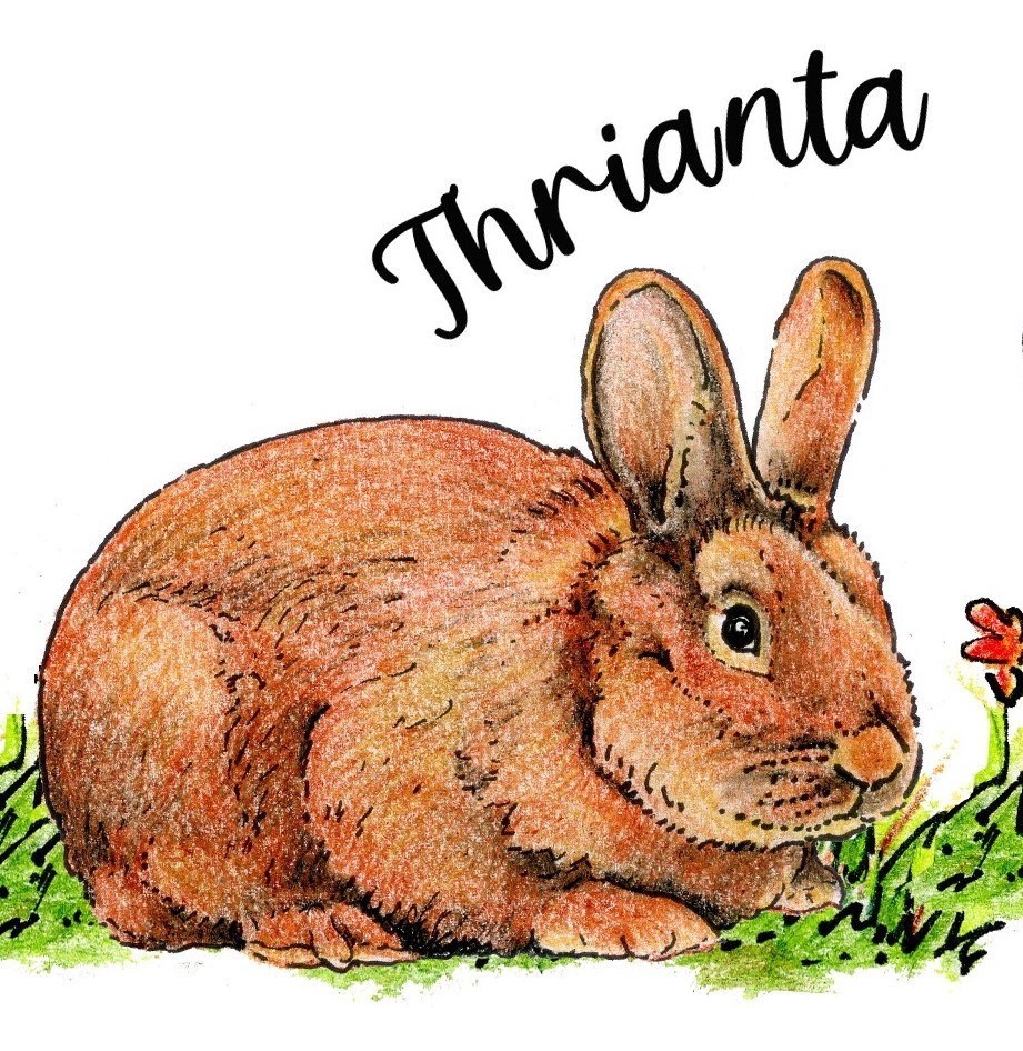 Bijzondere Nederlandse konijnenrassen - Landleven