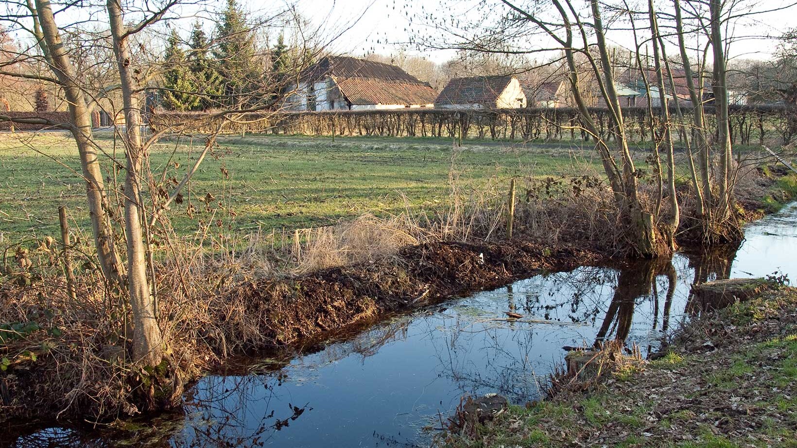 Wandeling van de maand: Groene Wissel Veenendaal-West - Landleven