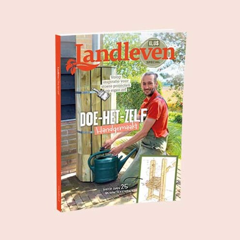 De aantasting bij fruitbomen