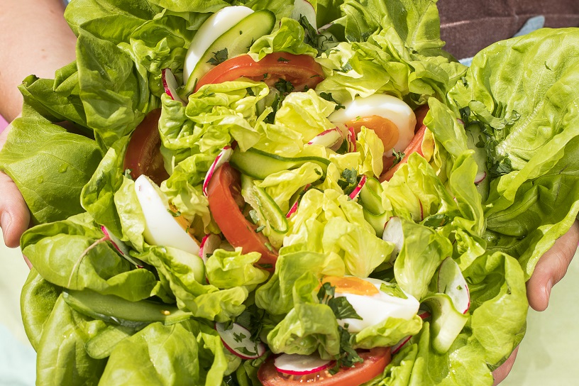 De lekkerste recepten met kropsla