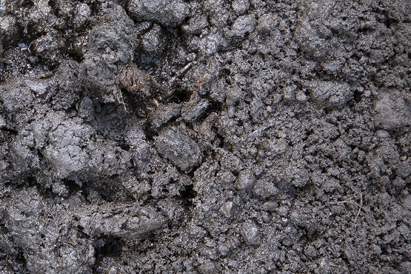 Lees hier welke grondsoorten er zijn